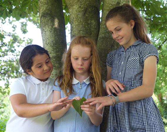 Horfield Church of England Primary School Career Site