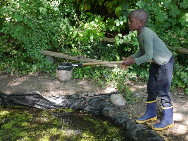 Careers at Goldsworth Primary School - Woking, United Kingdom, GU21 6NL ...