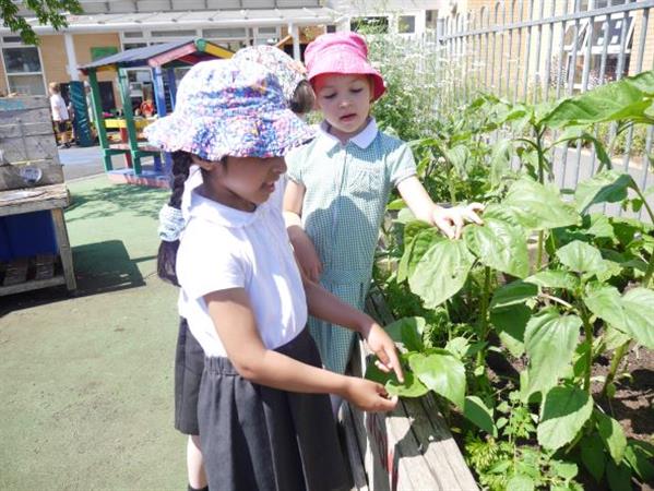 Careers at Goldsworth Primary School - Woking, United Kingdom, GU21 6NL ...