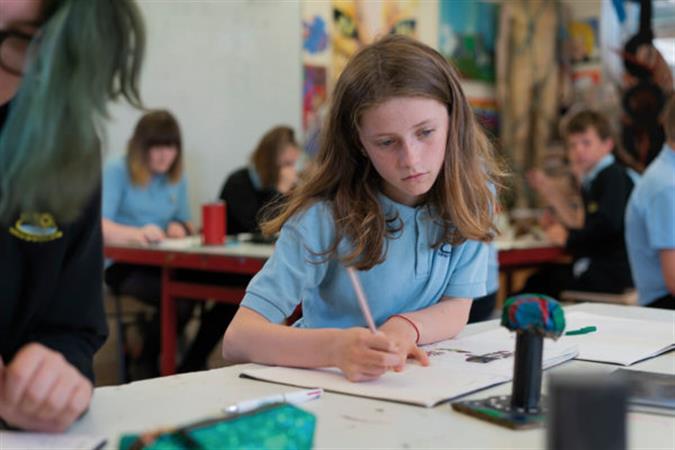 Ysgol Gyfun Gwyr Career Site