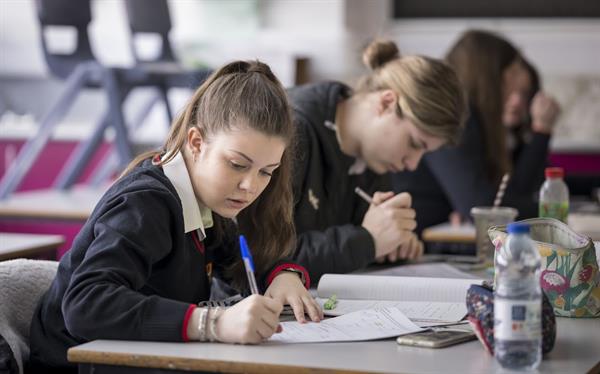 Ysgol Y Strade Career Site