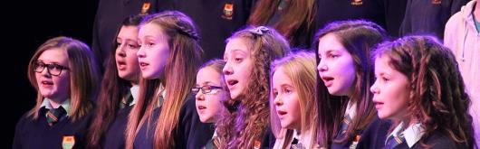 Ysgol Y Strade Career Site