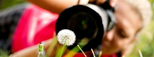 Careers at Rise Academy - Hull, United Kingdom, HU2 0LH | eteach