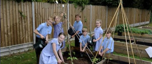 Laleham CofE (VA) Primary School Career Site