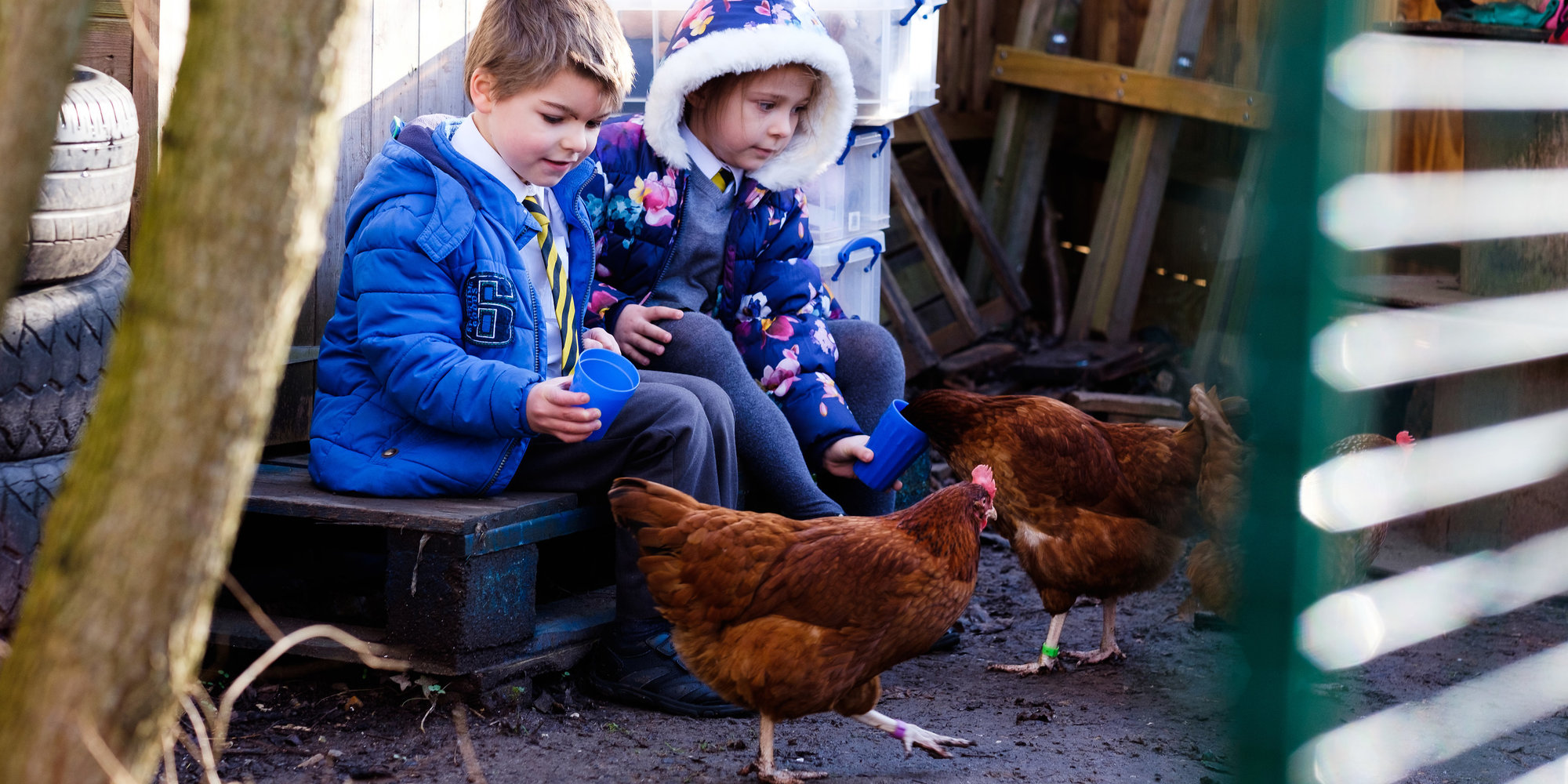 Careers at Whyteleafe School - Whyteleafe, United Kingdom, CR3 0AA | Eteach