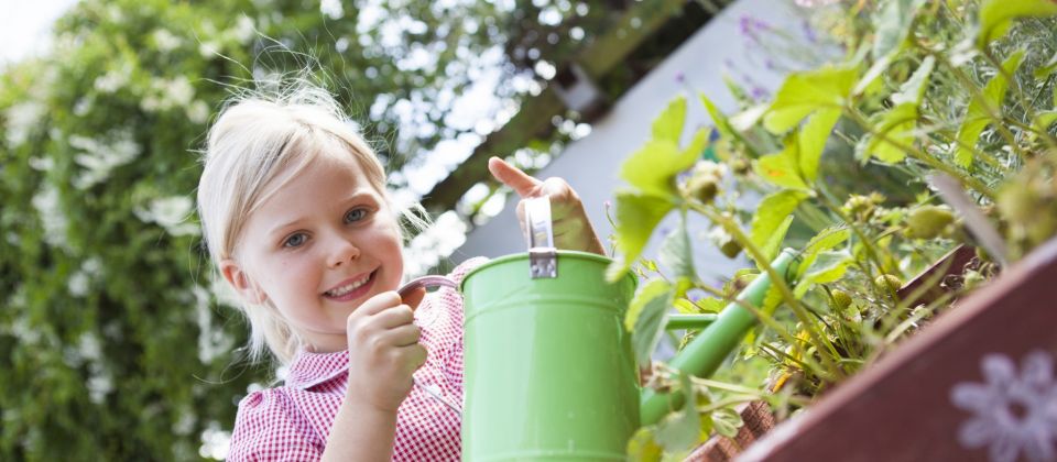 Careers at Springfield Primary School - Sunbury-on-Thames, United ...