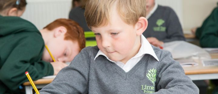 Careers at Lime Tree Primary School