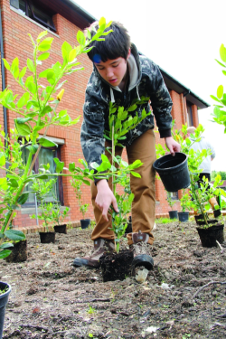 Mountain Ash Comprehensive School Careers Site Eteach (13197)